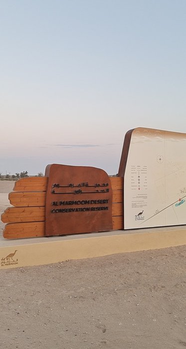 Al Marmoom Conservation Reserve ,United arab emirates :Everything You ...