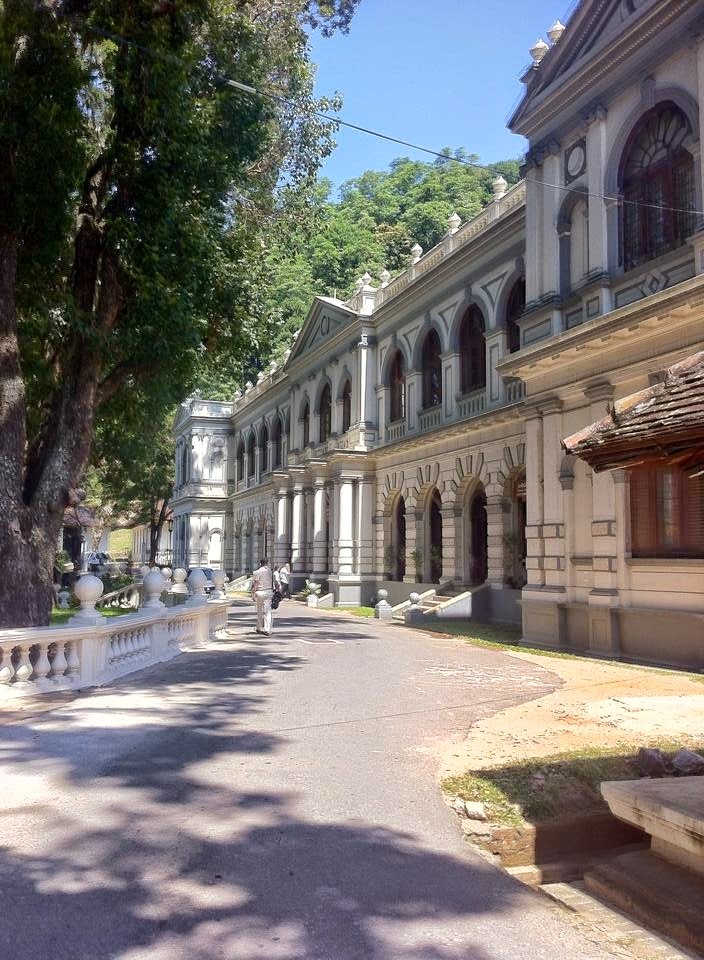 9 Can't-Miss specialized museums in Kandy (Sri lanka) : Your Ultimate Guide