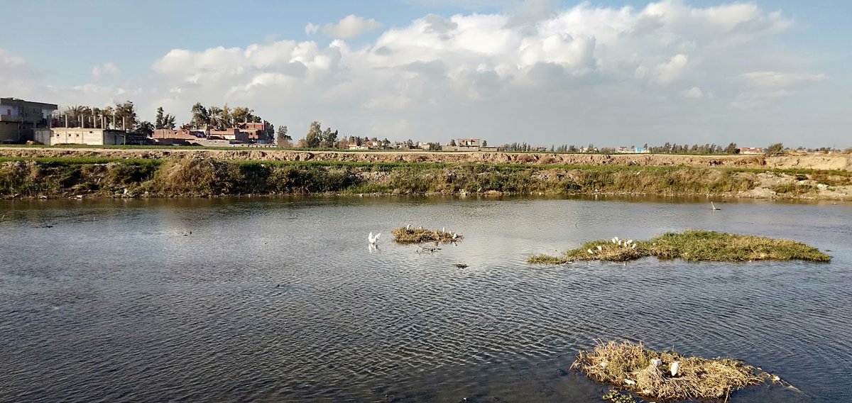 أفضل 8 ساحات و ميادين في مصر لا تفوتها