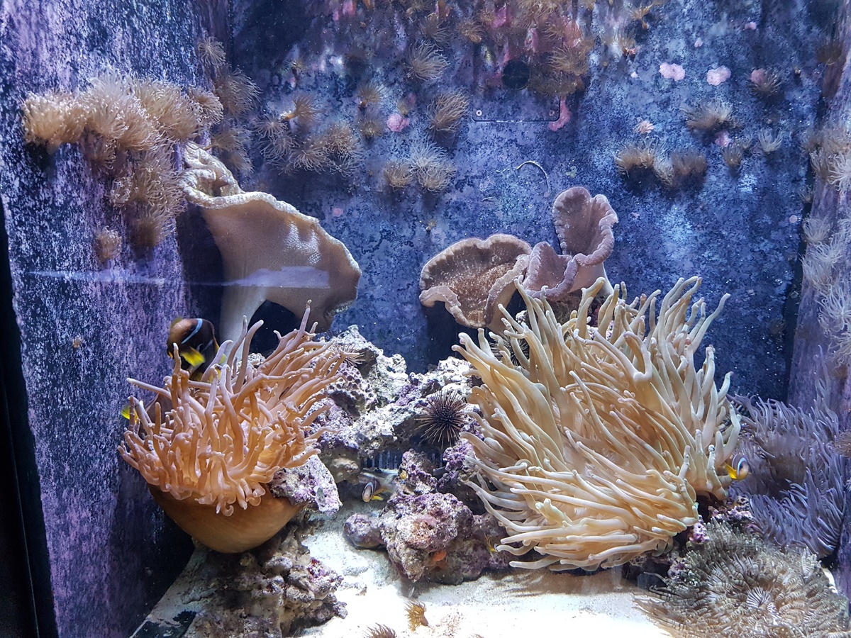 Discover the Best of Jordan: 6 Top-Rated zoos to Visit